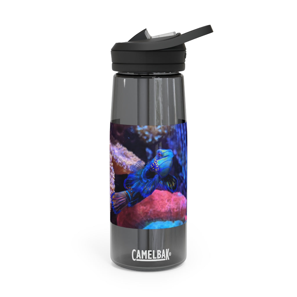 Blue Fish CamelBak Eddy Water Bottle, 20oz / 25oz on Storenvy