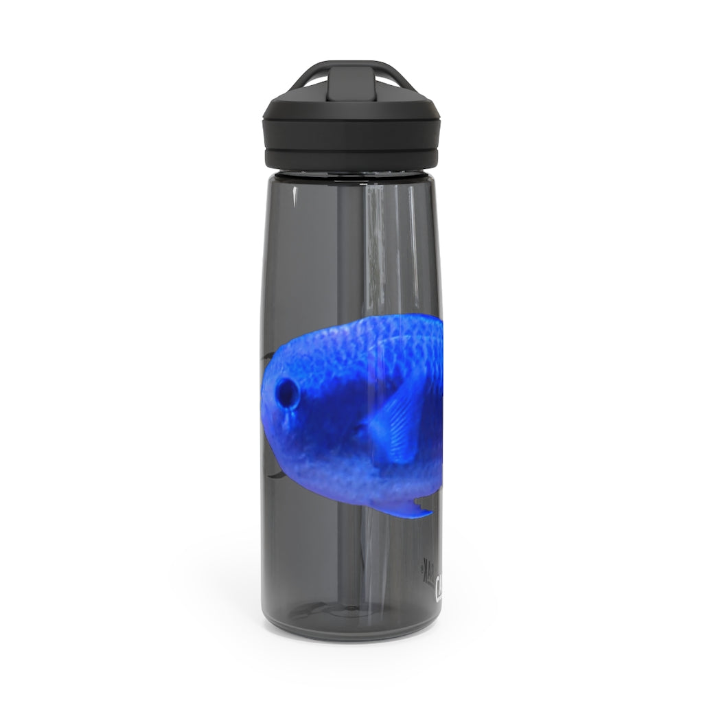 Blue Fish CamelBak Eddy Water Bottle, 20oz / 25oz on Storenvy