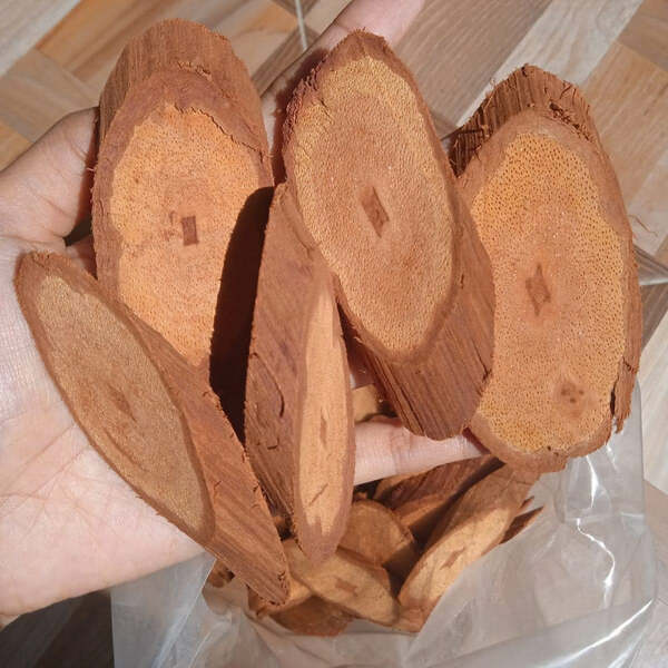 Akar Kayu Bajakah (S. Littoralis ) Root on Storenvy