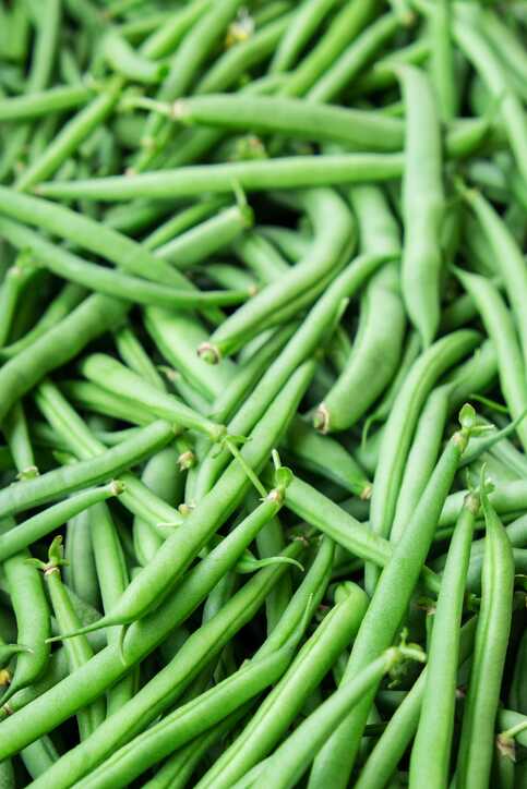 Penelope Pea Peas Stir Fry Seed Packet on Storenvy